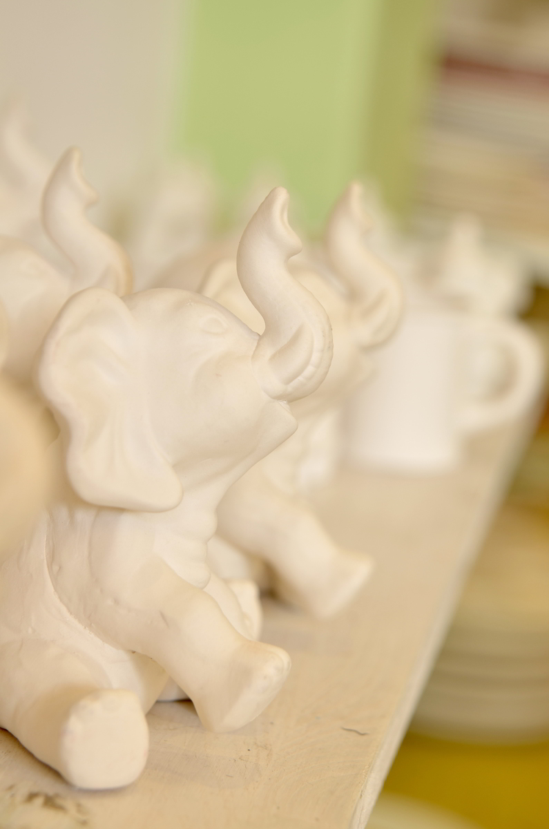 News and Updates | Color Café